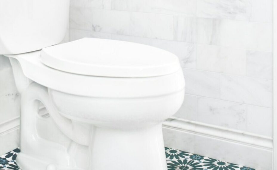 Почему важно закрывать крышку унитаза: многие и не подозревали